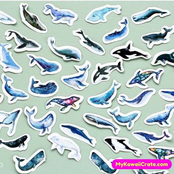 Whale Sticker - Etsy