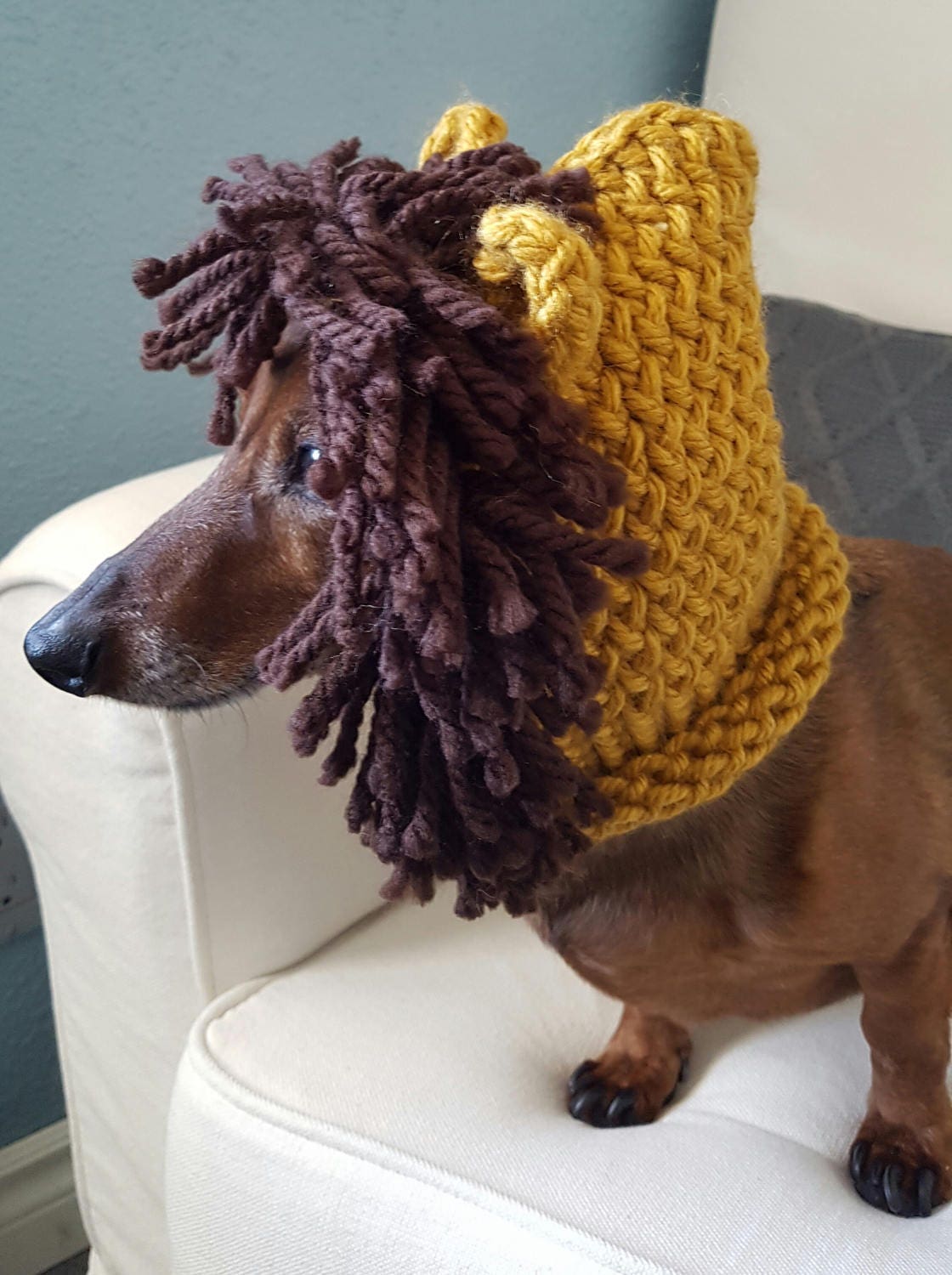 Lion Hood - Etsy Canada