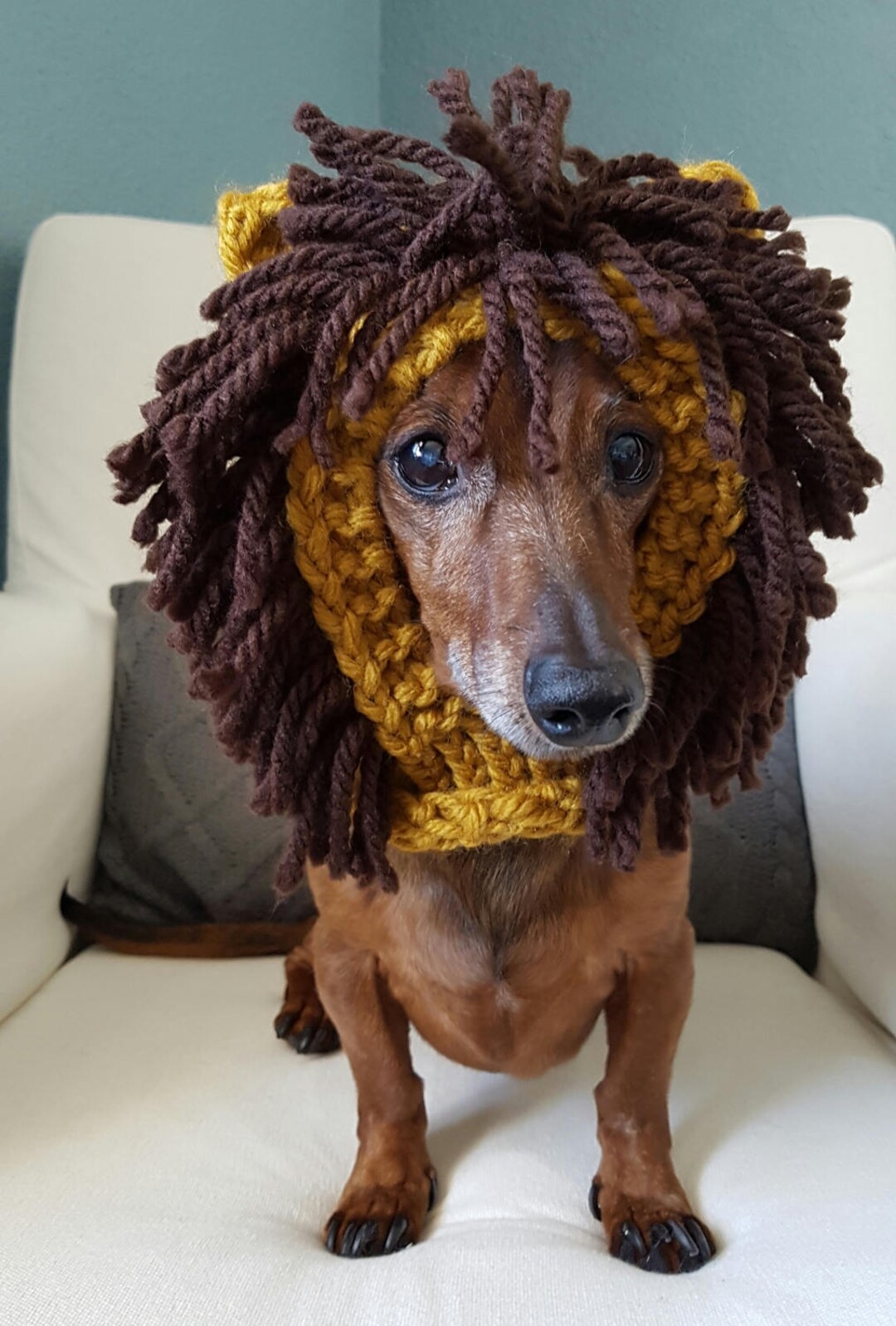 Lion Hood - Etsy