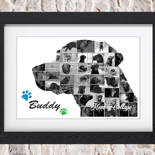 Pet Photo Collage - Etsy UK