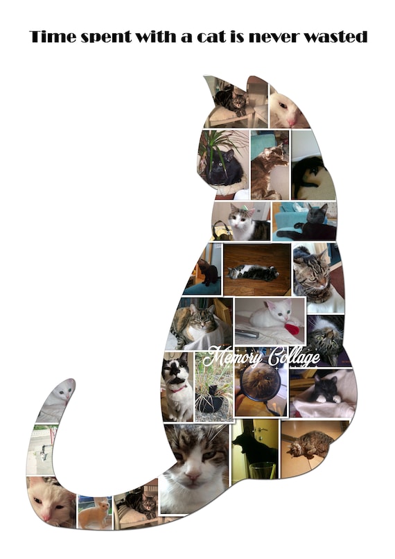 Collage De Gatos Cat Collage