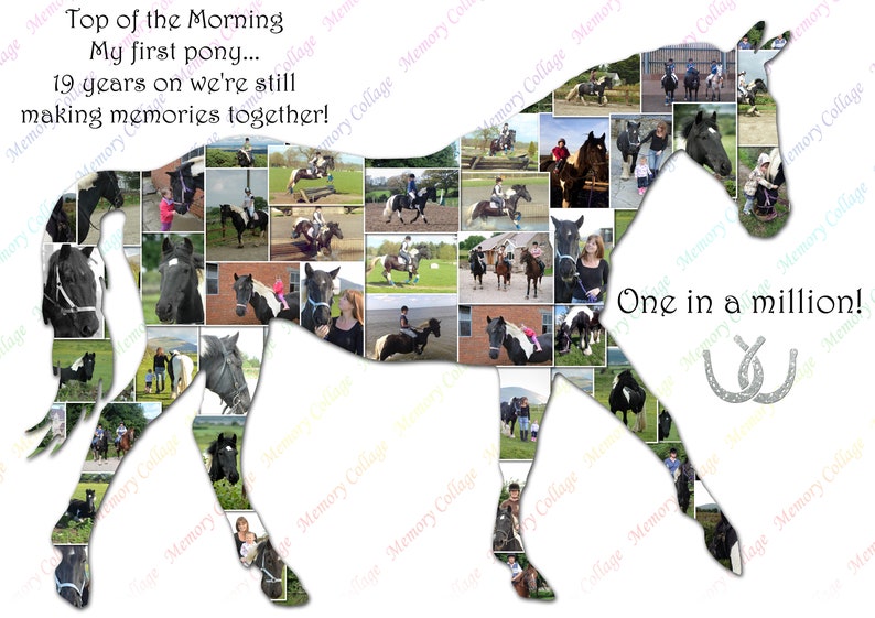 Horse Equestrian Horse Riding Dressage Photo Collage Wall Art - Etsy
