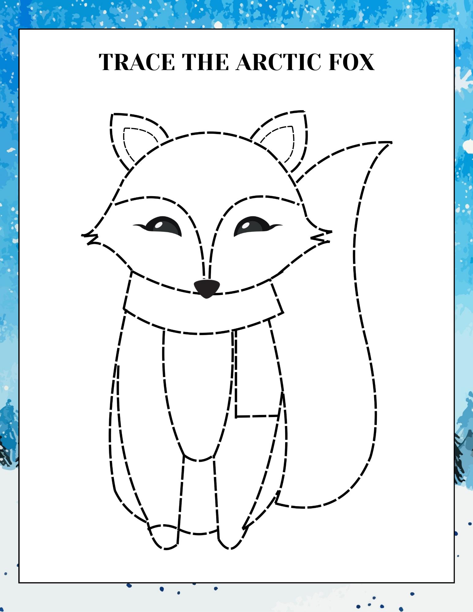 Winter Animal Study Kit Life Cycle Curriculum 10 Winter Animals - Etsy