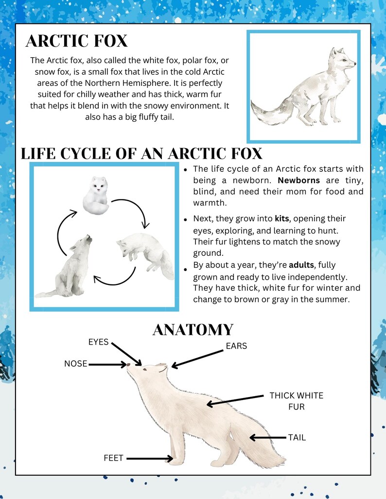 Winter Animal Study Kit Life Cycle Curriculum 10 Winter Animals - Etsy
