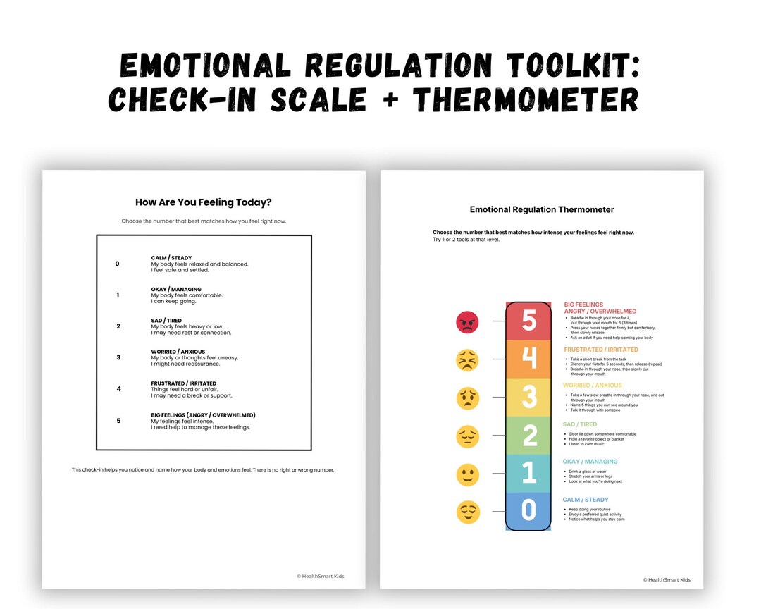 Emotional Regulation Toolkit Printable Check in Scale and Coping ...