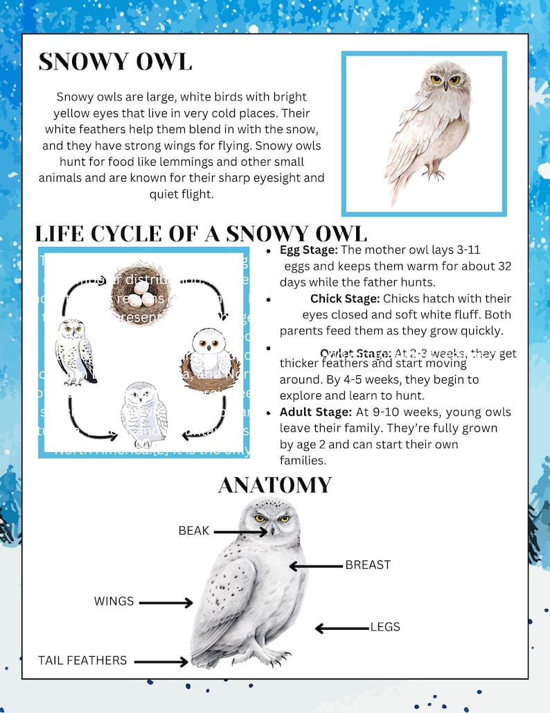 Winter Animal Study Kit Life Cycle Curriculum 10 Winter Animals - Etsy