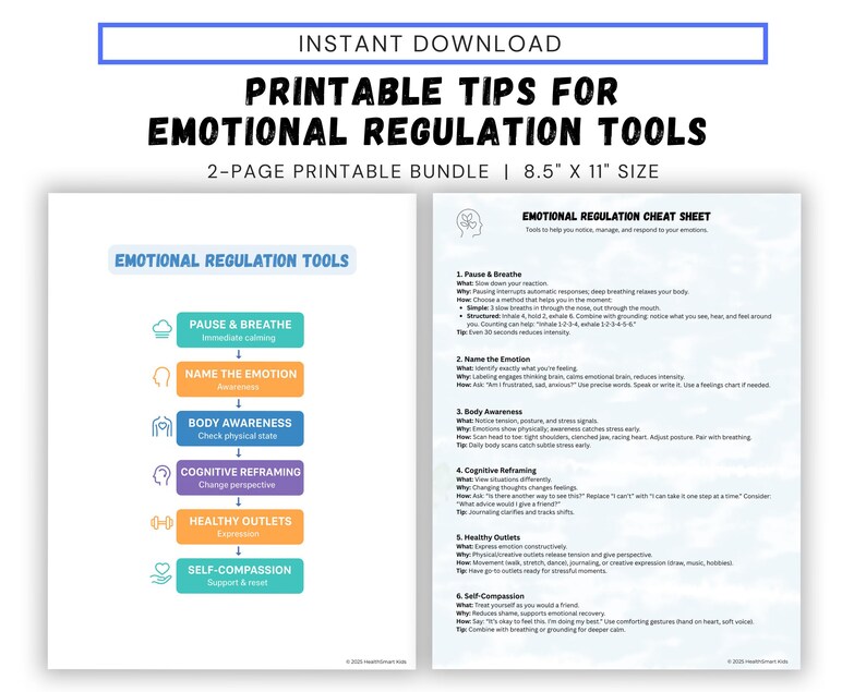 Emotional Regulation Tools Printable, 2-page Coping Skills Handout ...