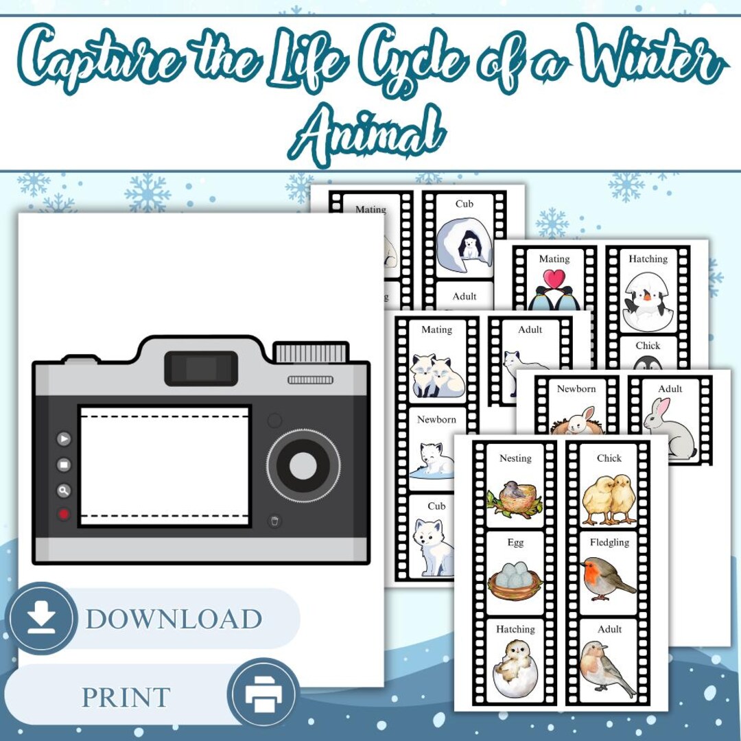 Life Cycle of a Winter Animal Printable Activity - Etsy Canada