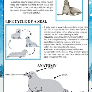 Winter Animal Study Kit Life Cycle Curriculum 10 Winter Animals - Etsy