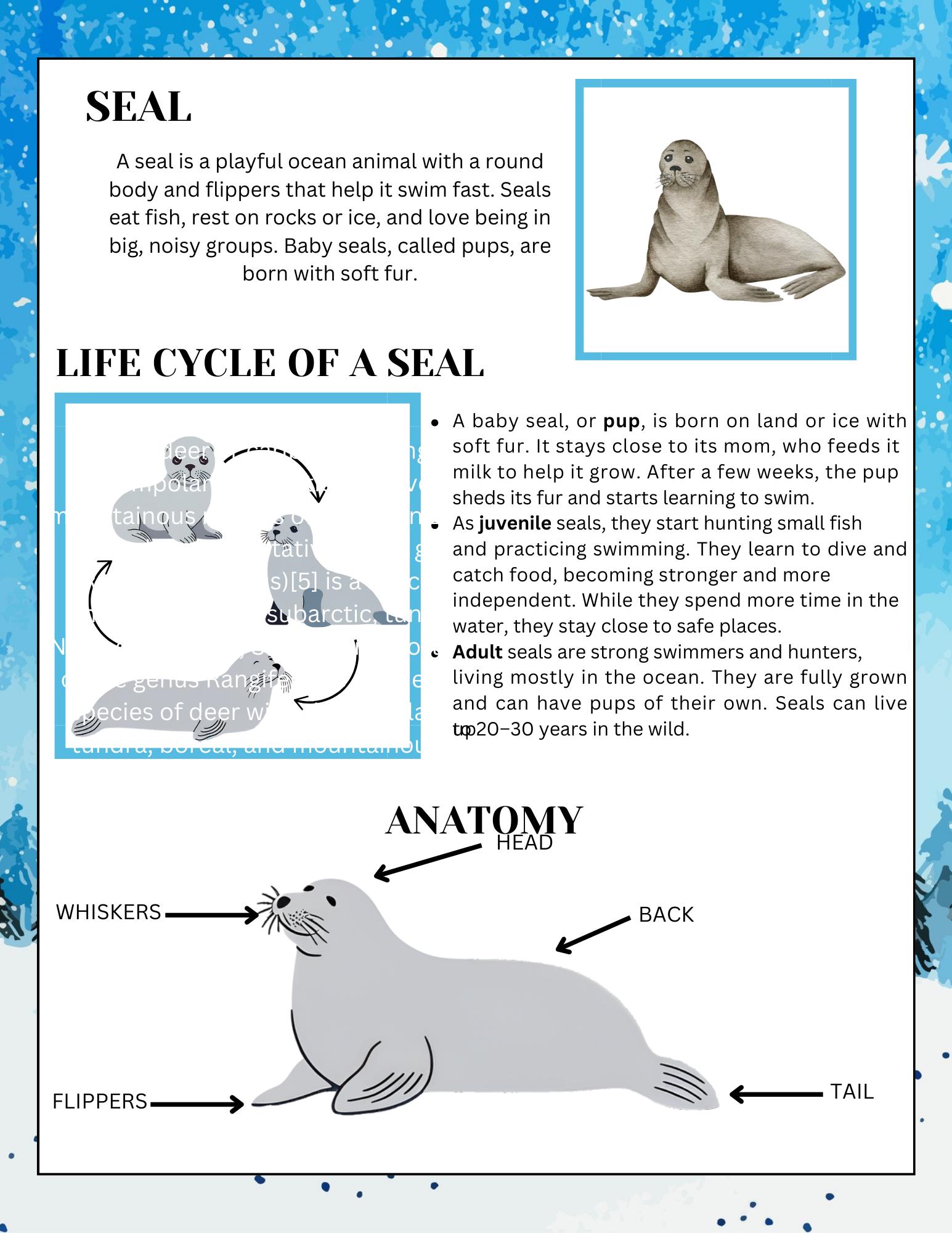 Winter Animal Study Kit Life Cycle Curriculum 10 Winter Animals - Etsy