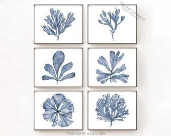 Printable Wall Art Hamptons Style Coastal Decor Gallery Wall | Etsy