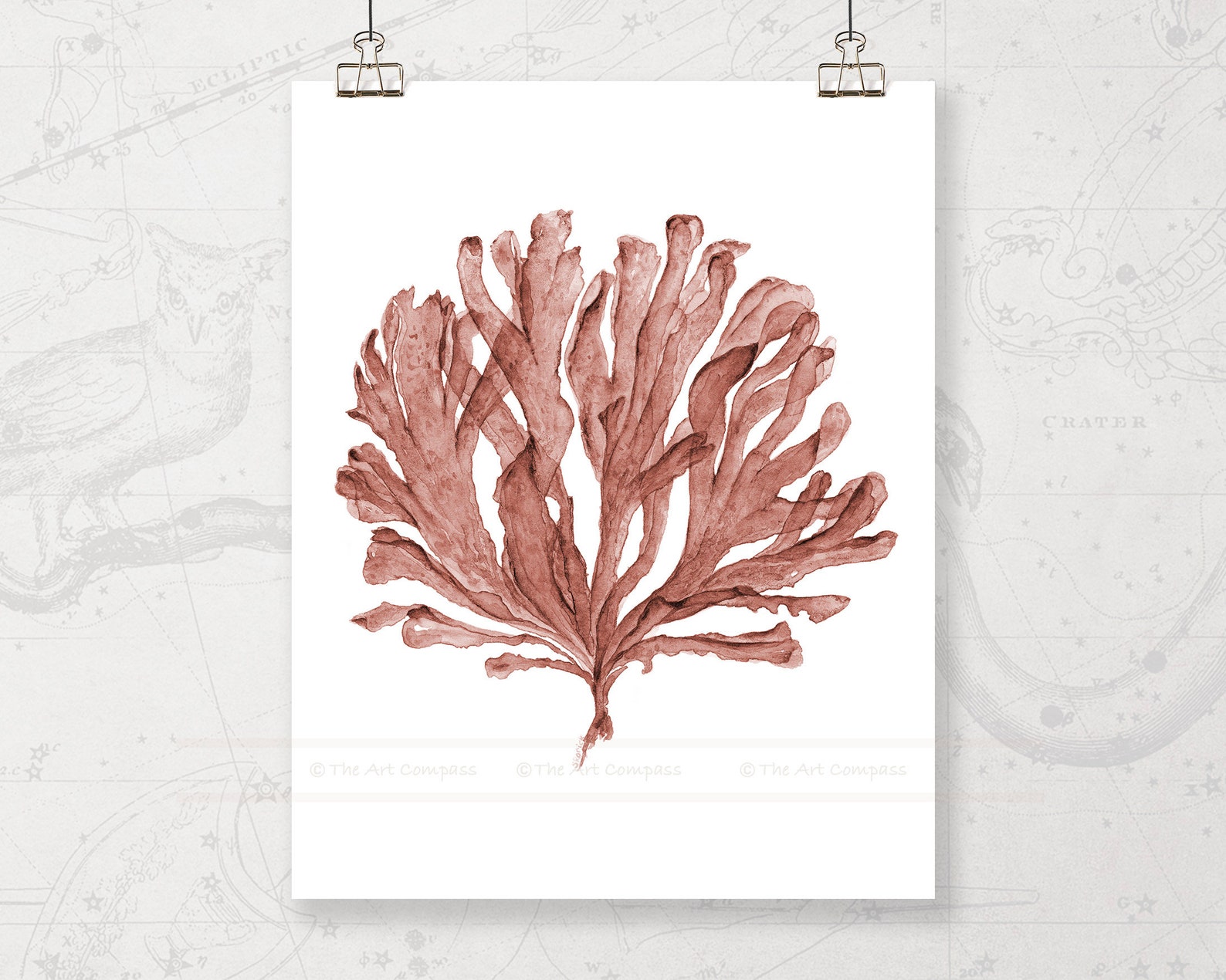 Printable Wall Art Set of 3 in Plum Color Sea Fan Watercolor | Etsy