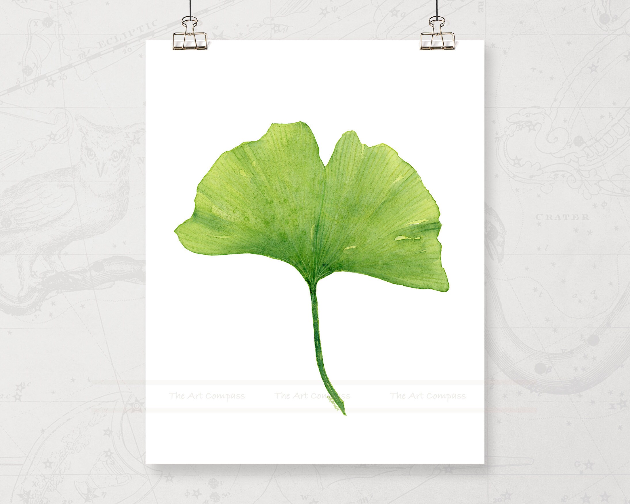 Digital Prints Download, Gallery Wall Set of 6 Prints of Green Leaves ...
