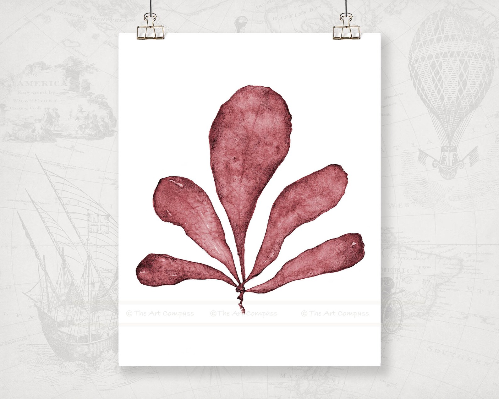 Digital Download Art Print of Sea Fan Water Color Printable - Etsy
