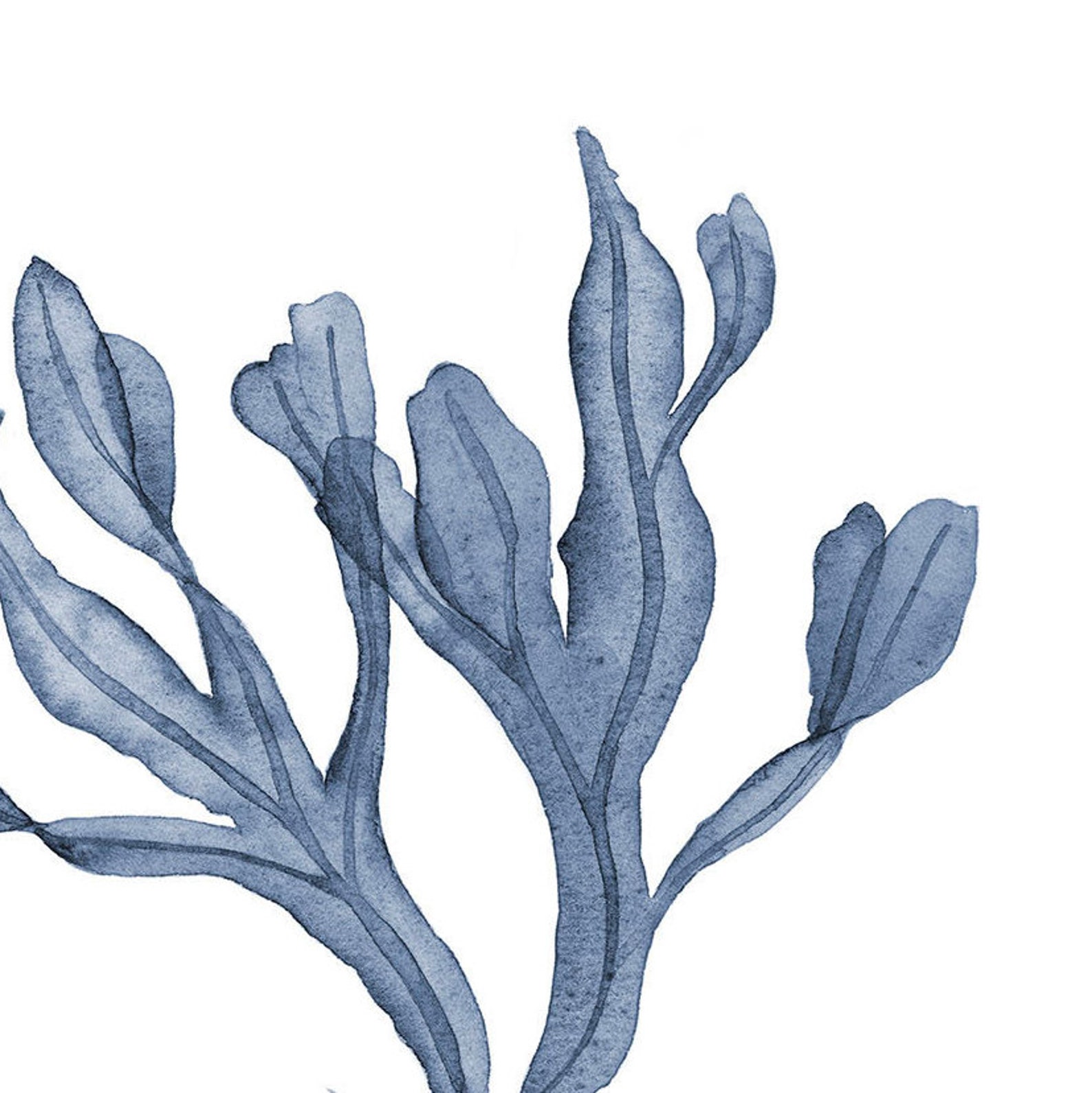 Printable Art 11x14 Blue Coral Sea Fan Print Set of 6 Prints | Etsy