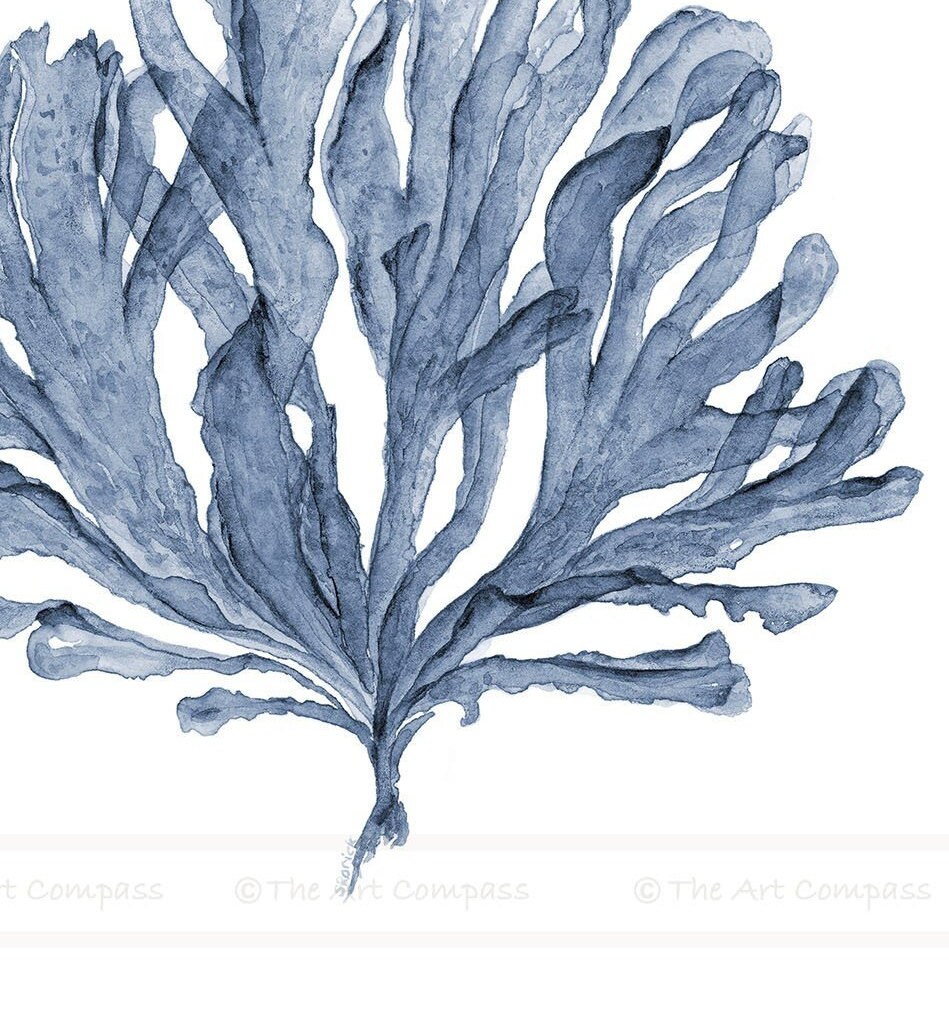 Botanical Print Set of 3 Sea Fan Watercolor Paintings | Etsy