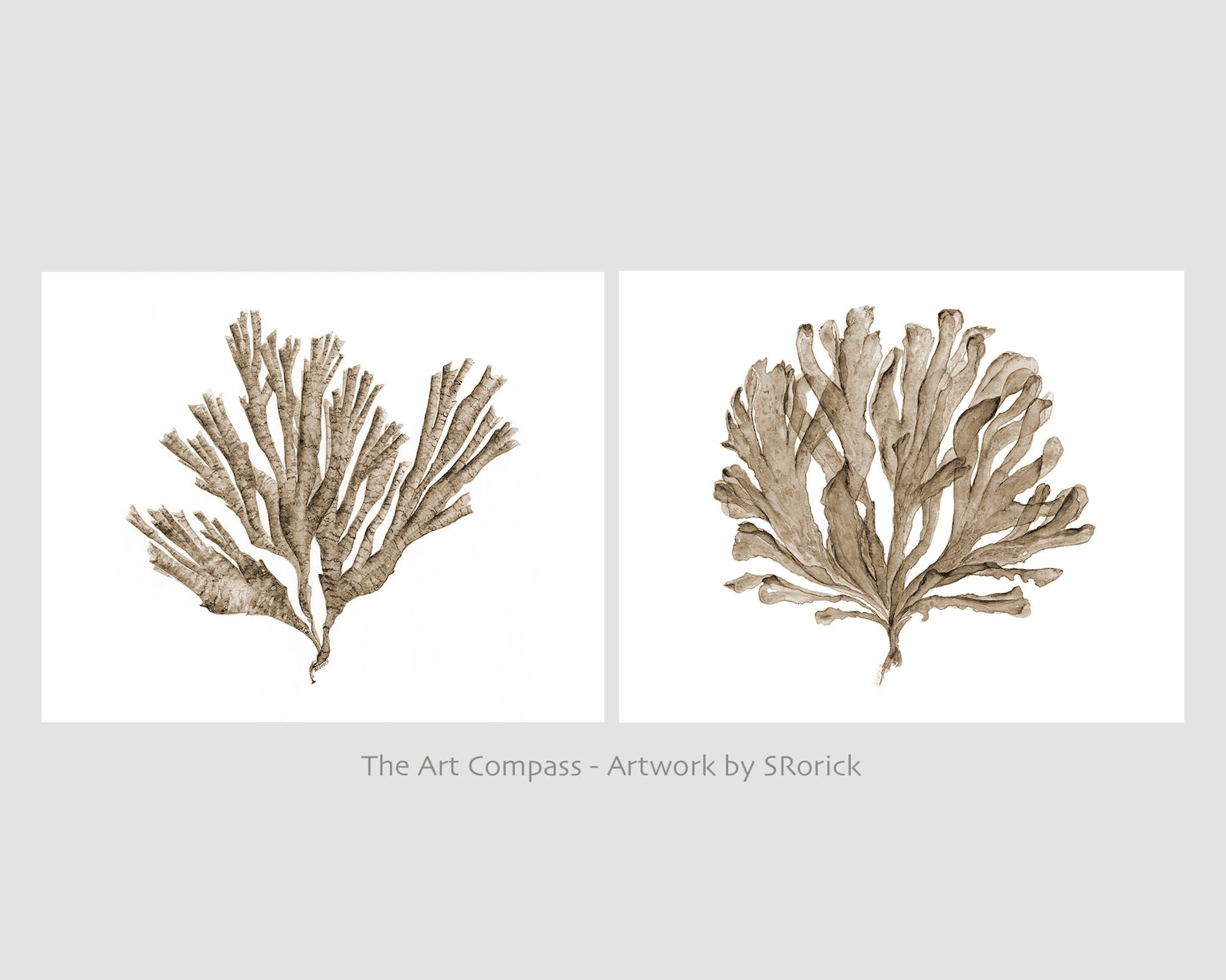 Digital Prints Download Printable Wall Art Set of Two Coral | Etsy