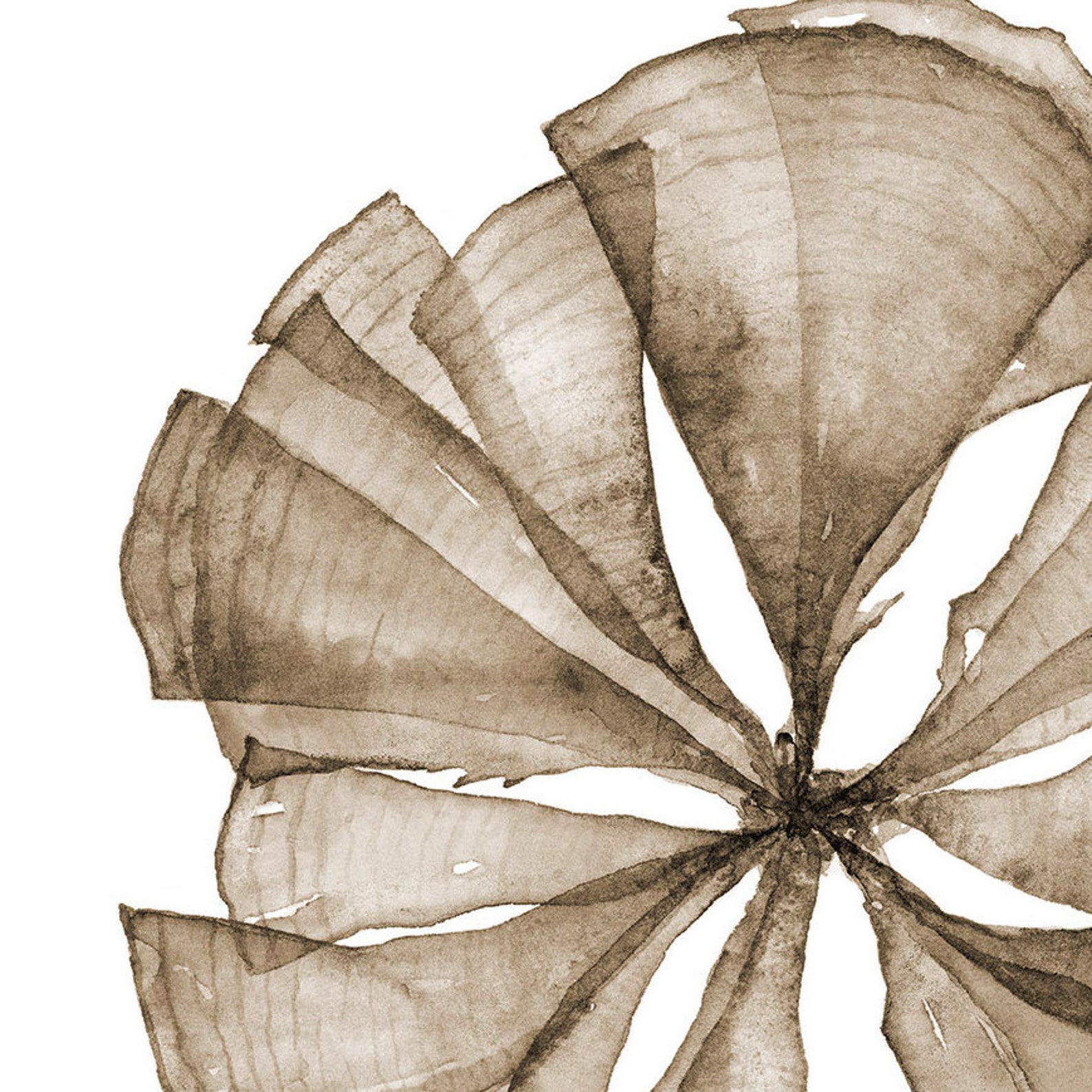 Digital Art Print of Watercolor Sea Fan Painting Downloadable | Etsy