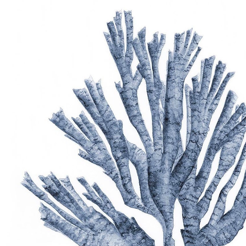 Printable Art of Coral Sea Fan Watercolour Painting Instant - Etsy