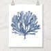 Printable Wall Art Set of 6 Sea Fan Watercolor Paintings - Etsy