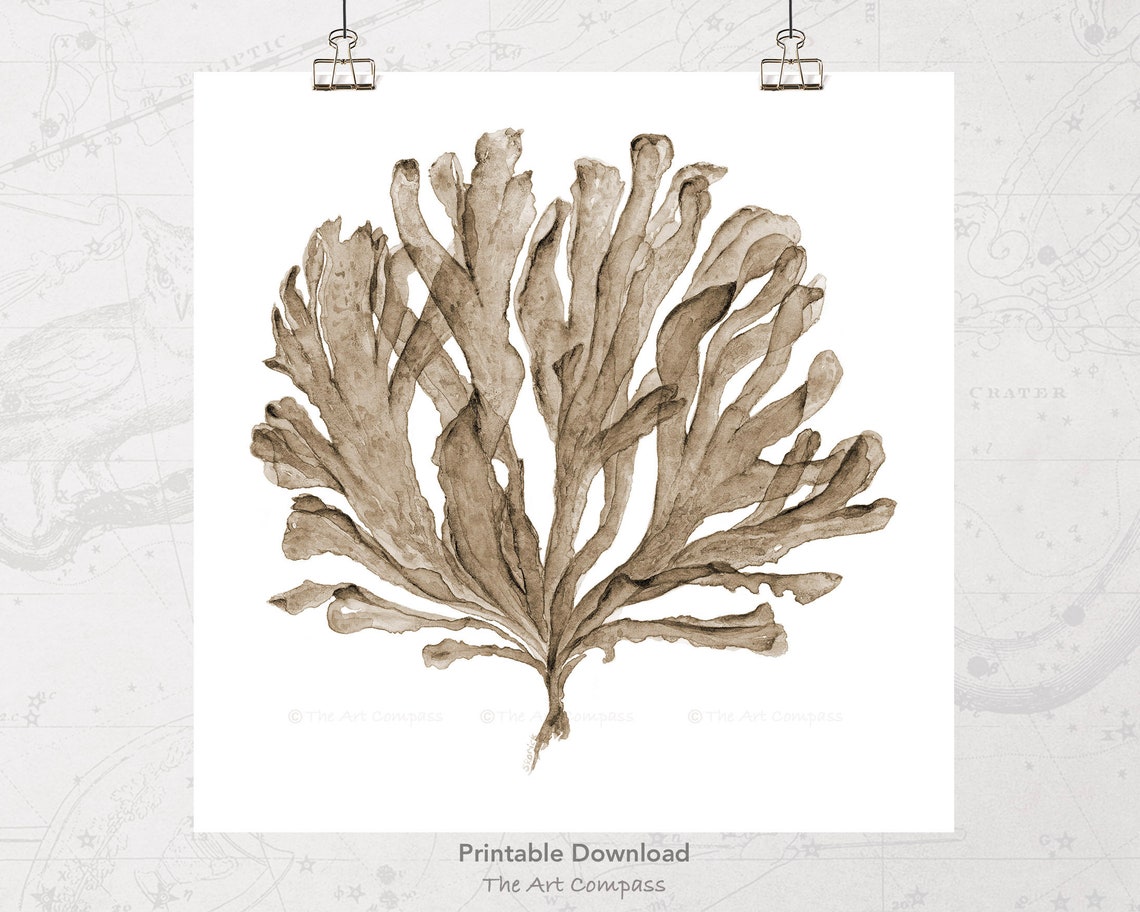 Coral Printable Art Watercolour Painting Digital Download - Etsy