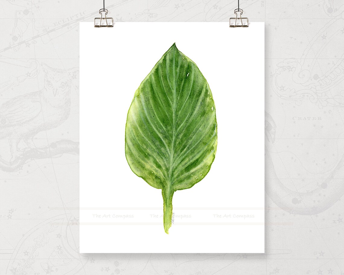 Printable Art Botanical Print Set of 4 Green Leaf Watercolor | Etsy