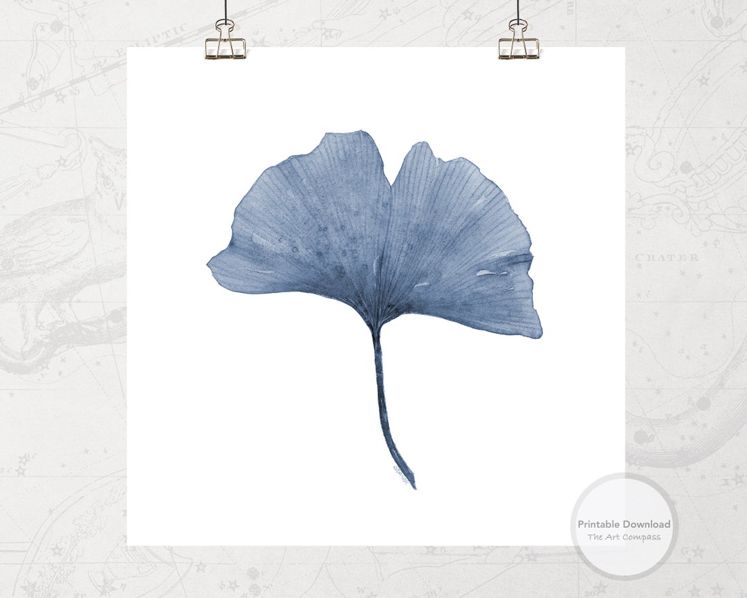 Ginkgo Wall Art, Digital Print Download, Square Printable Artwork ...
