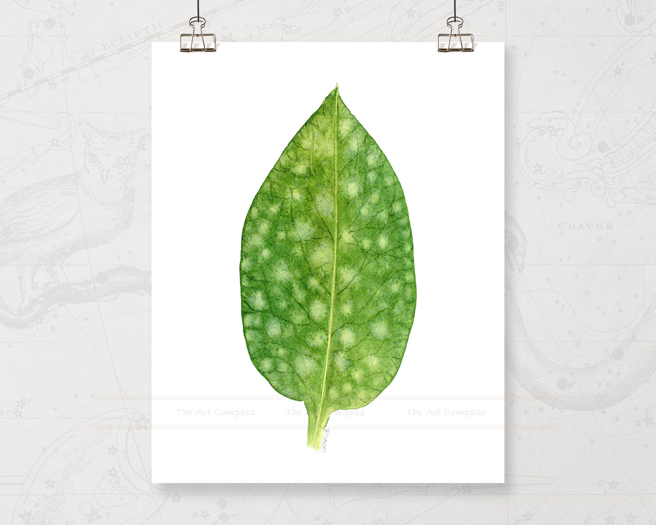 Digital Prints Download, Gallery Wall Set of 6 Prints of Green Leaves ...