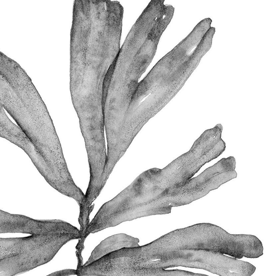 Square Black and White Digital Print Download Printable Set - Etsy