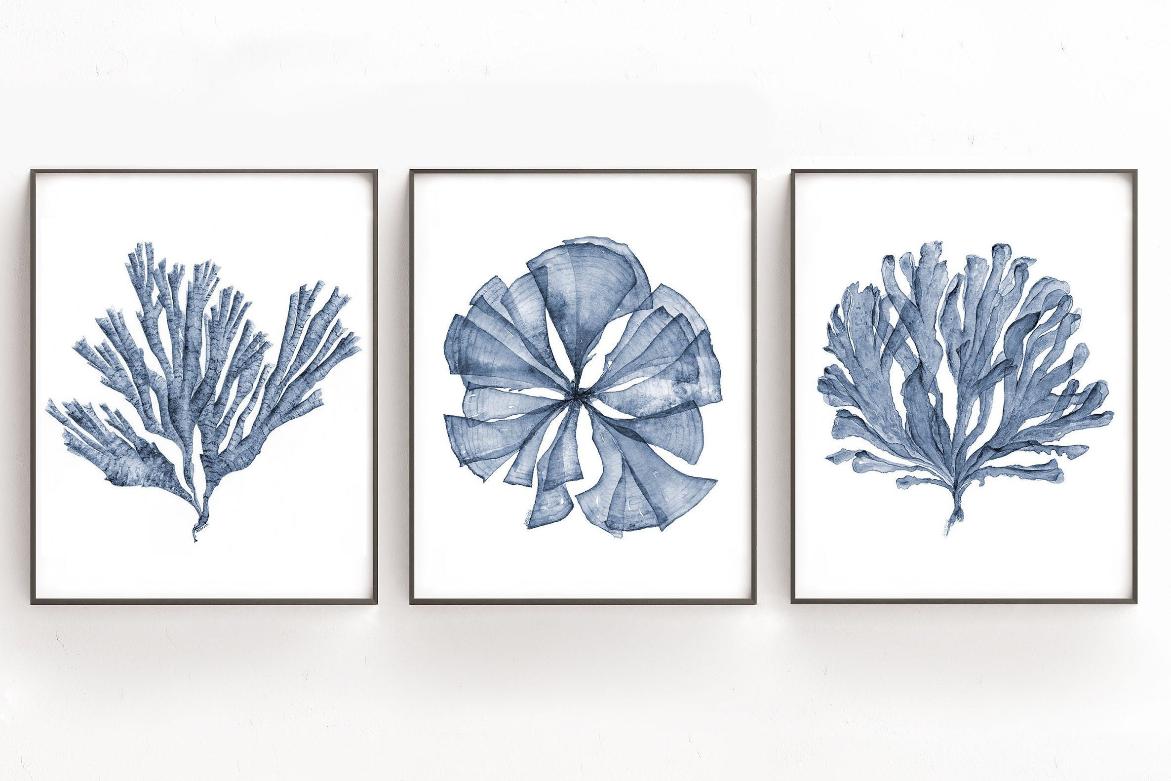 Printable Wall Art Coral Sea Fan Botanical Print Set of 3 | Etsy