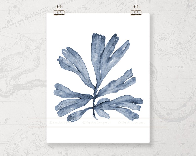 Printable Wall Art Set of 6 Sea Fan Watercolor Paintings | Etsy