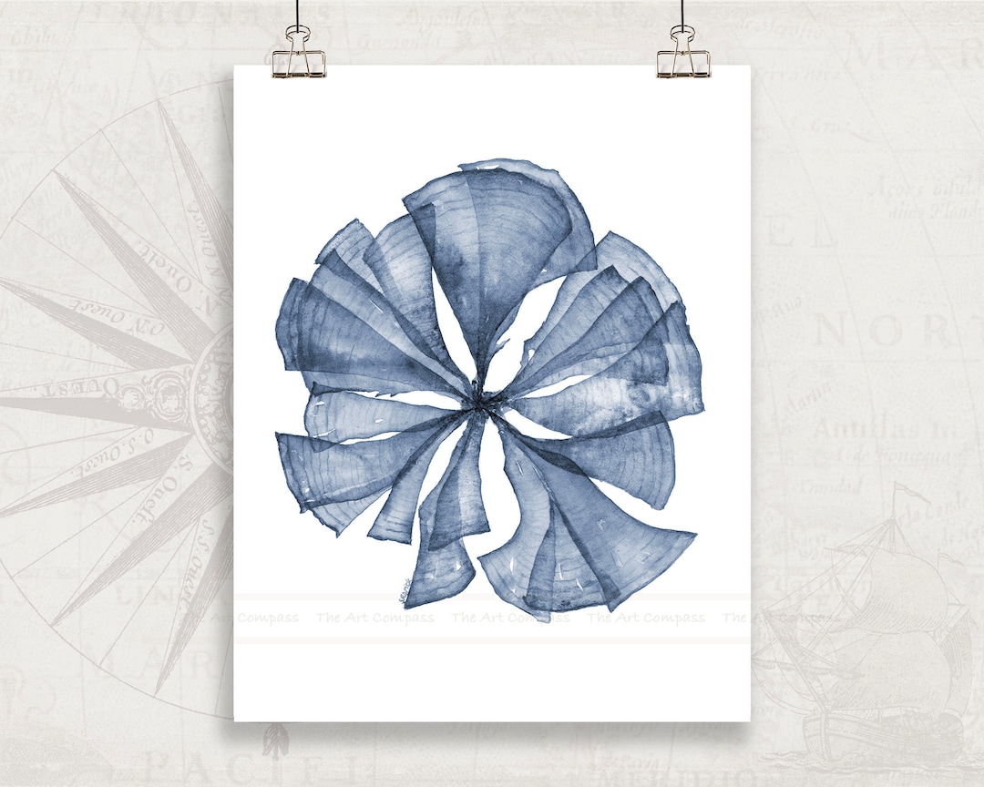 Sea Fan Printable Art Digital Download, Coastal Wall Decor for Living ...