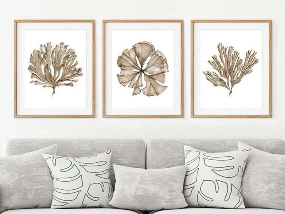 Set of 3 Botanical Prints of Coral Sea Fan Watercolor Paintings, 2x3 ...
