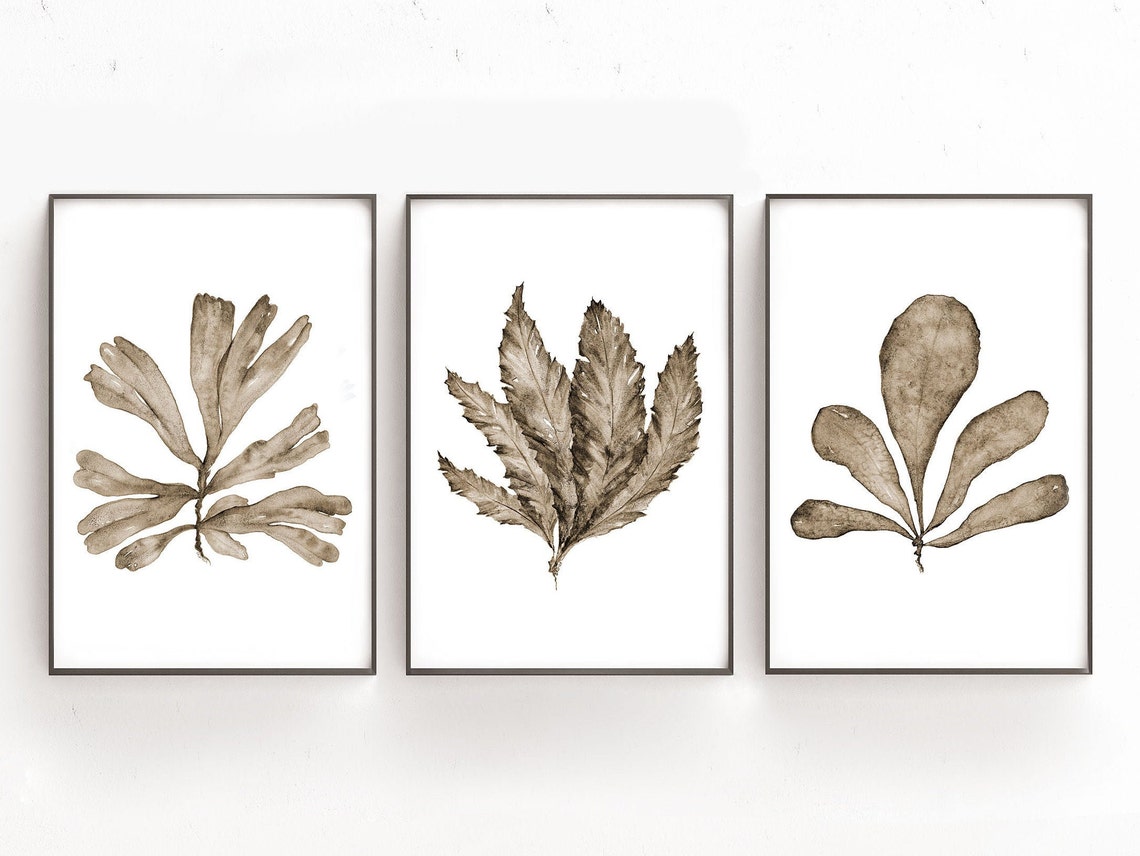 Set of Three Sea Fan Botanical Prints of Coral Watercolor | Etsy