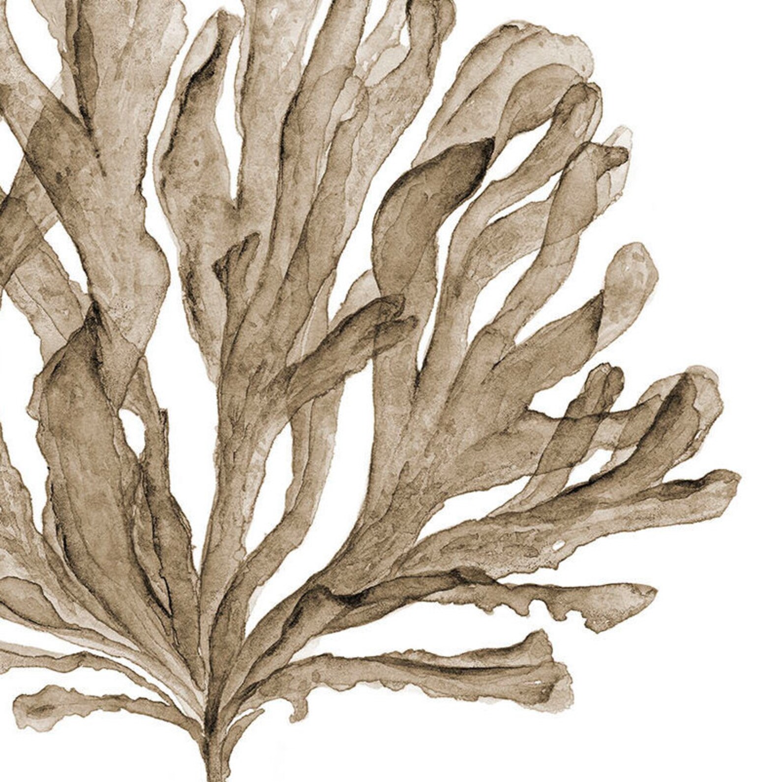 Coral Printable Art, Watercolour Painting Digital Download, 4x4 to ...