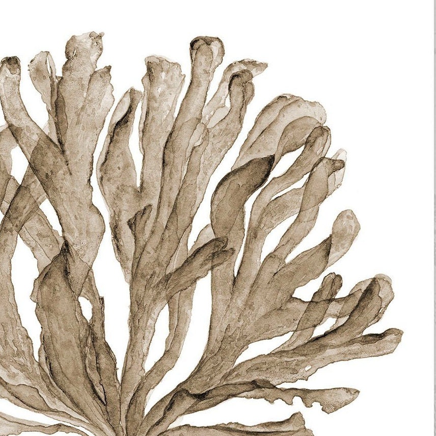 Printable Wall Art, Sea Fan Watercolour Painting Botanical Print Set of ...