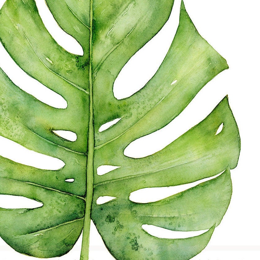 Digital Prints Download Gallery Wall Set of 6 Prints of Green - Etsy