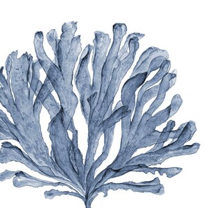 Printable Wall Art Set of 6 Sea Fan Watercolor Paintings, Digital ...