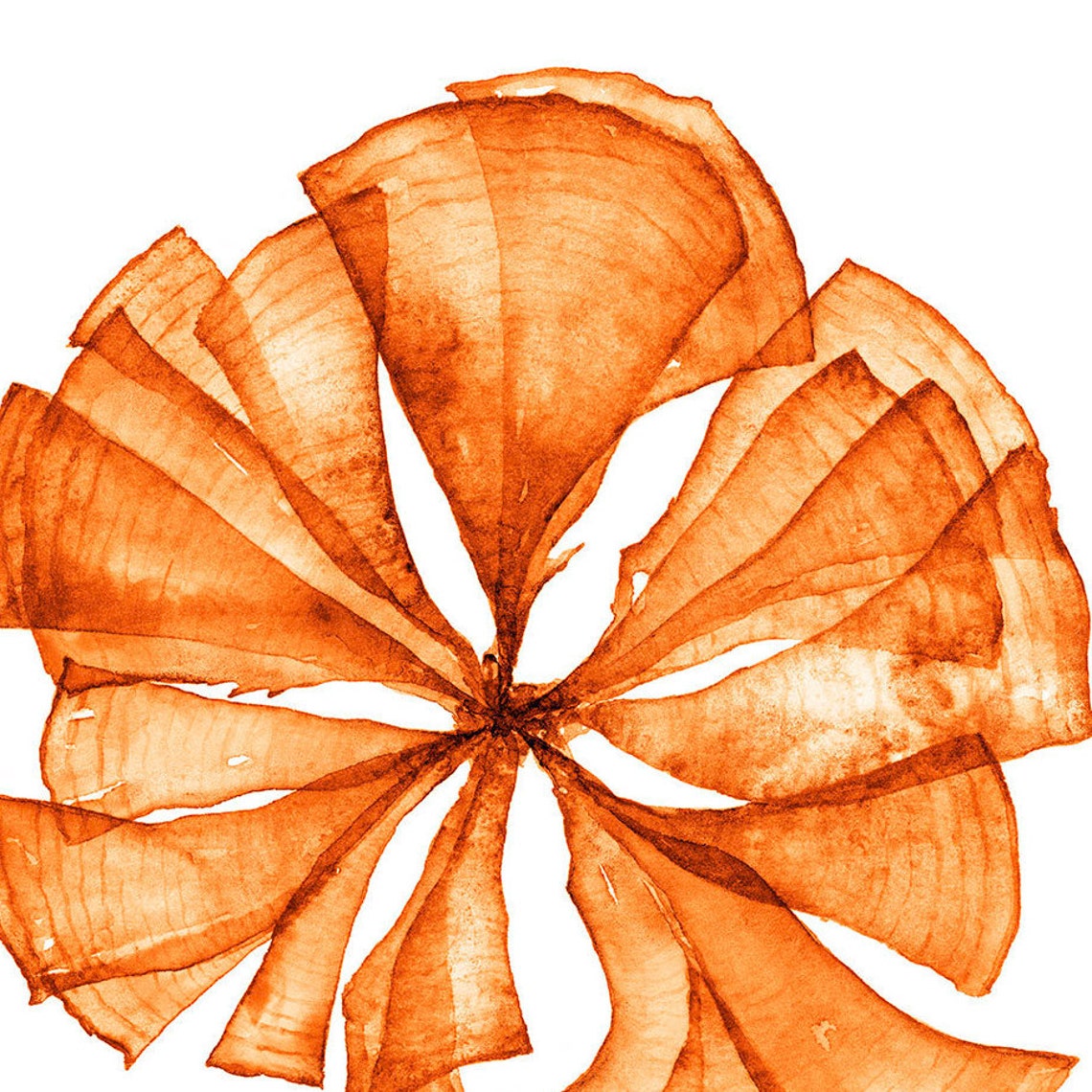 Coral Sea Fan Printable Wall Art, Digital Prints Download in 16x20 Inch ...