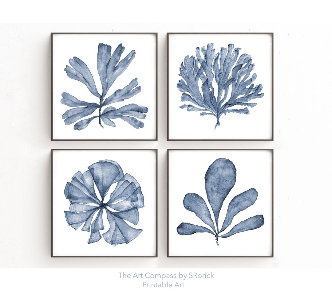 Printable Art Set of 4 Sea Fan Paintings, Square 4x4 to 24x24 Inches ...