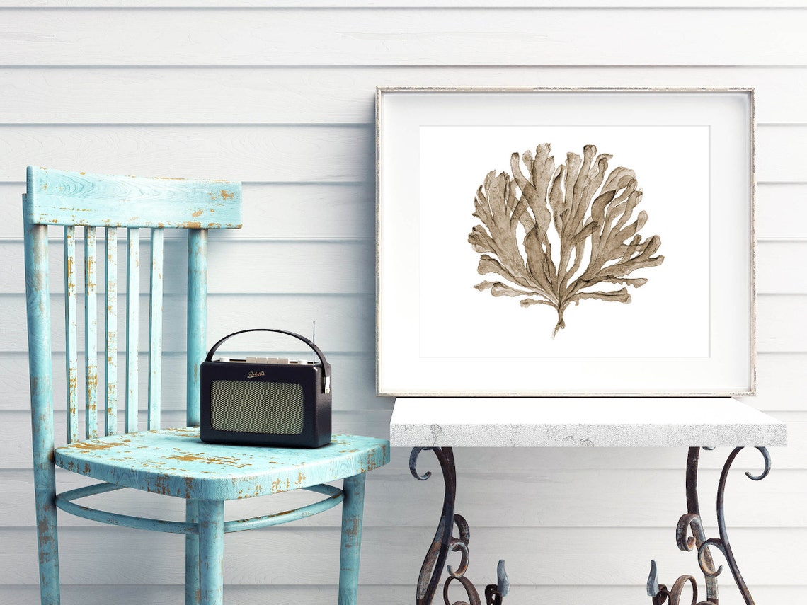Digital Print Download Printable Wall Art of Sea Fan | Etsy