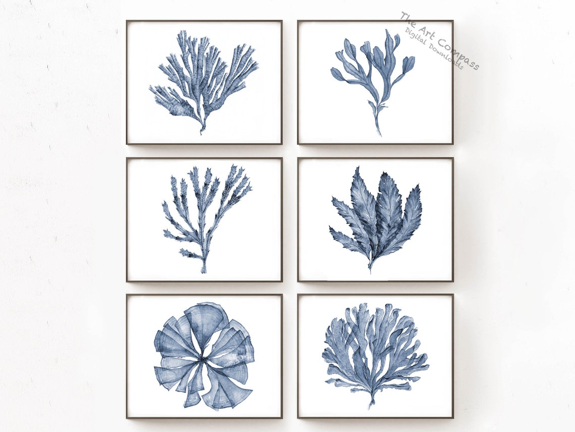 Printable Art 11x14 Blue Coral Sea Fan Print Set of 6 Prints | Etsy