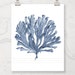 Botanical Print Set of 3 Sea Fan Watercolor Paintings, Printable Art ...