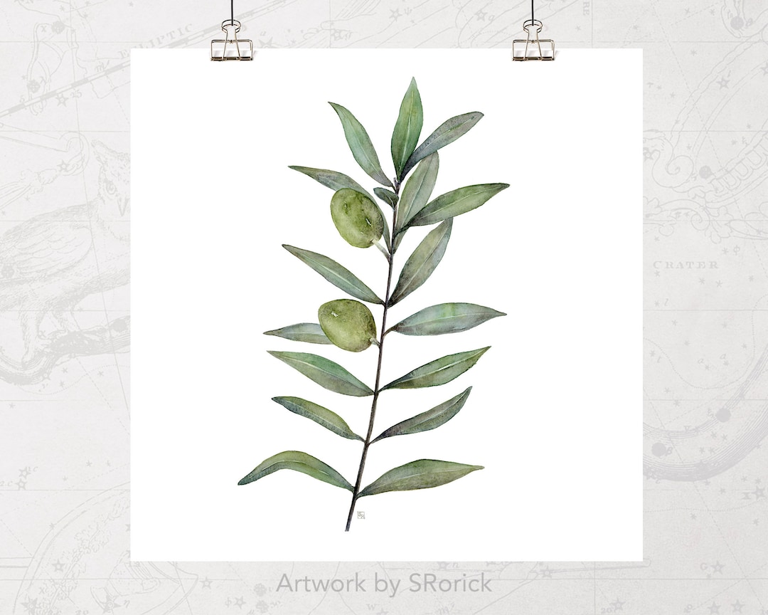 Olive Branch Printable Art, Watercolour Painting Digital Download, 4x4 ...