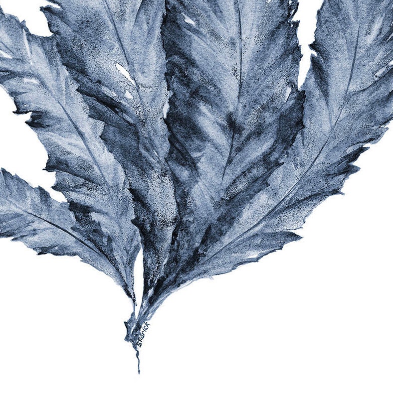 Printable Wall Art of Sea Fan Watercolor Painting Instant - Etsy