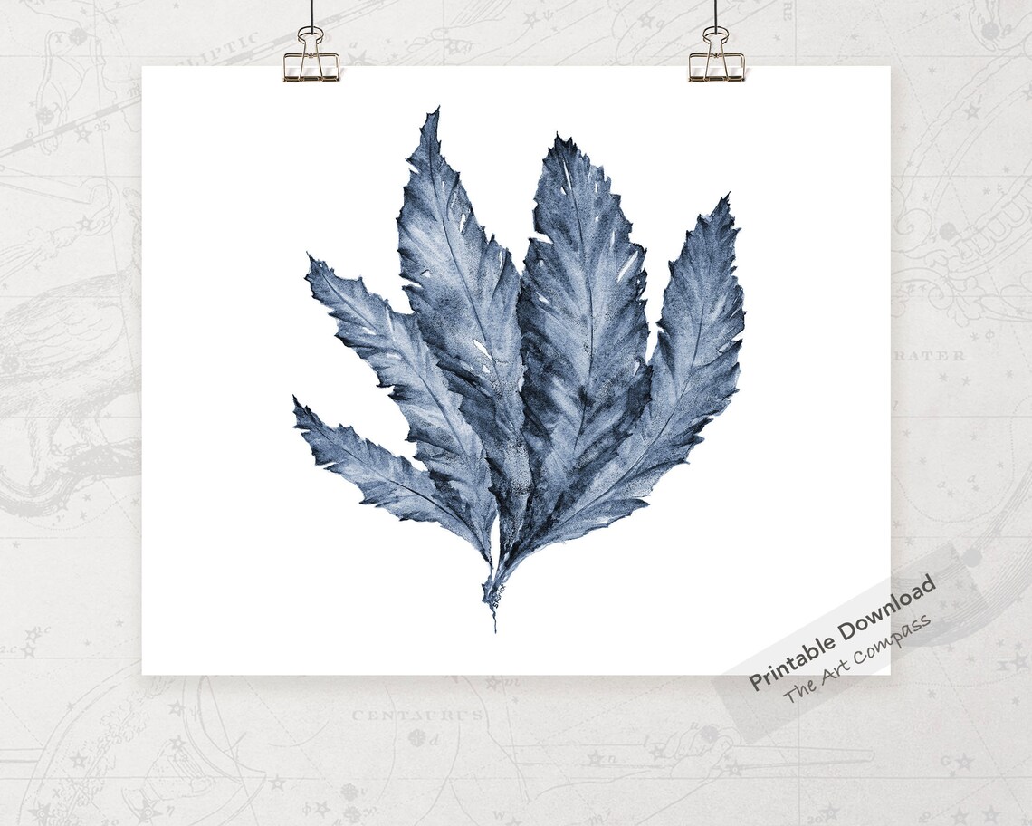 Printable Wall Art of Sea Fan Watercolor Painting Instant - Etsy