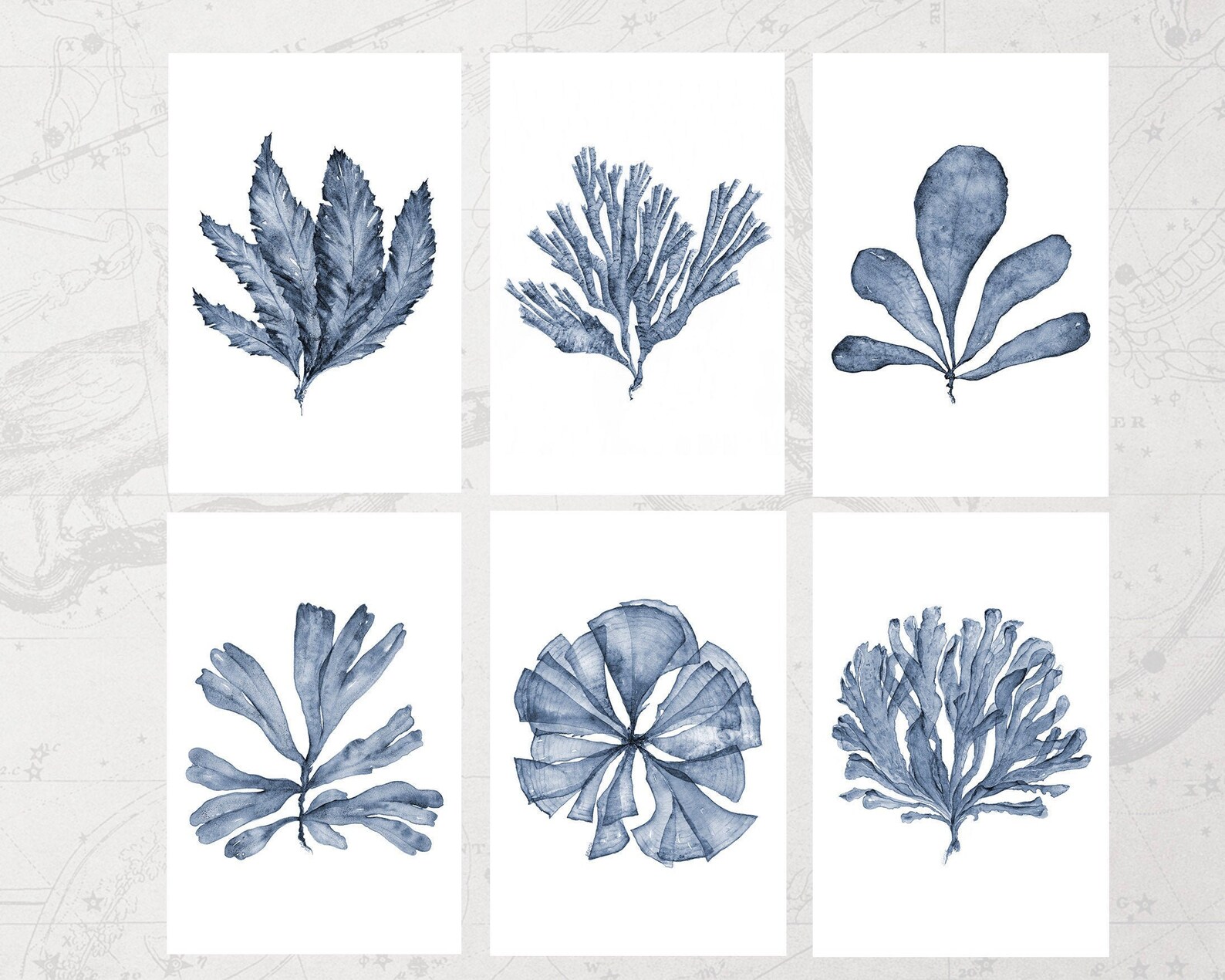 Hamptons Wall Art Digital Prints Download 4x6 8x12 20x30 | Etsy