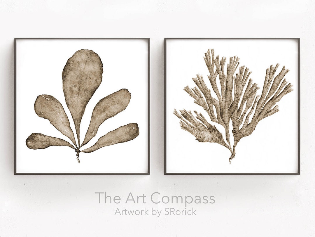 Printable Art, Sea Fan Watercolour Paintings, Set of 2 Digital Print ...