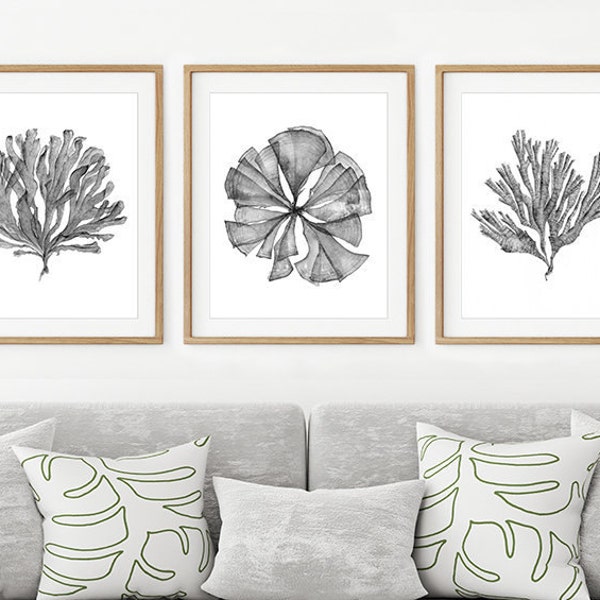 5x7 Art Print - Etsy