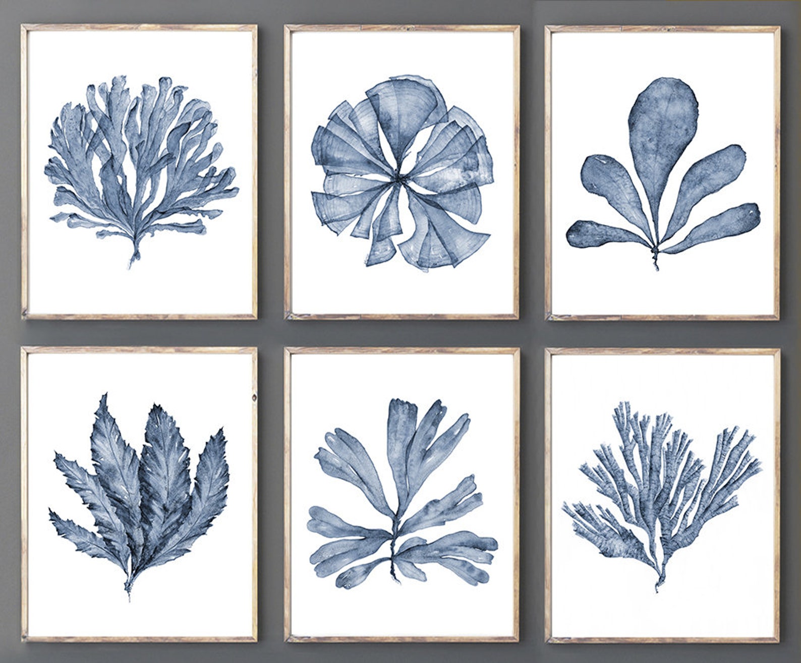 Printable Wall Art Set of 6 Sea Fan Watercolor Paintings | Etsy